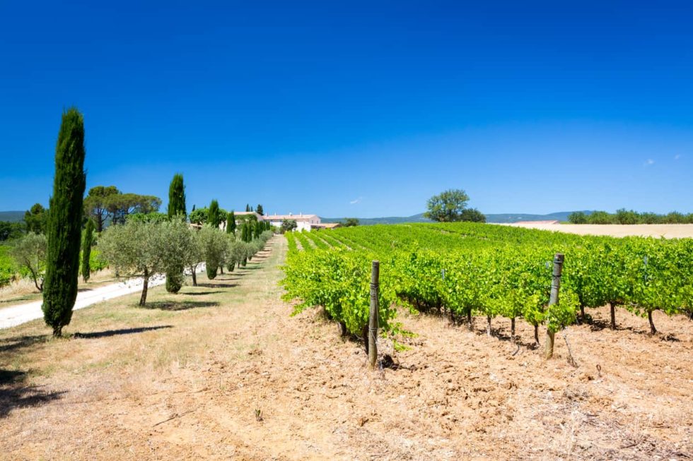 Domaine viticole Provence - trouvez votre propriété