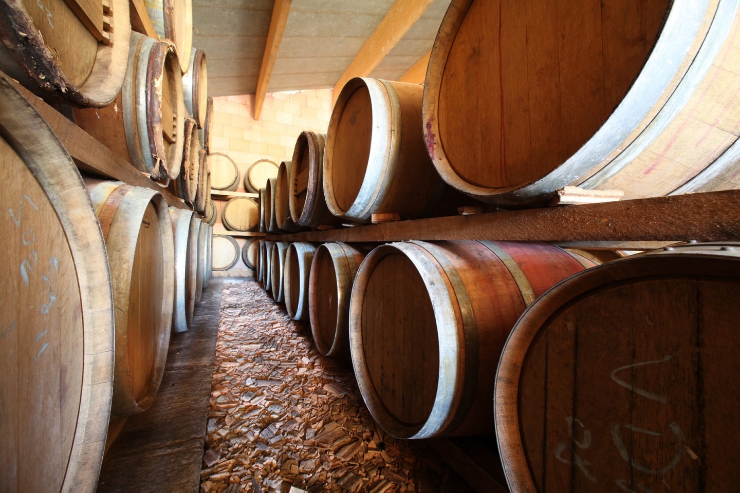 Vineyard in the Golden Triangle of Côtes de Provence - Ref P162